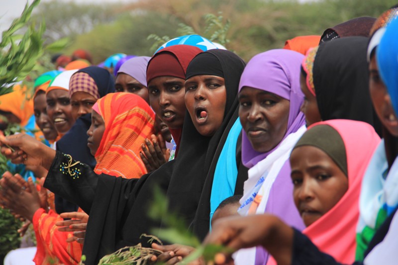 Wararka Maanta: Jimco, May 20, 2015-Suldaan Cabdiqani Qorane oo degmada ...